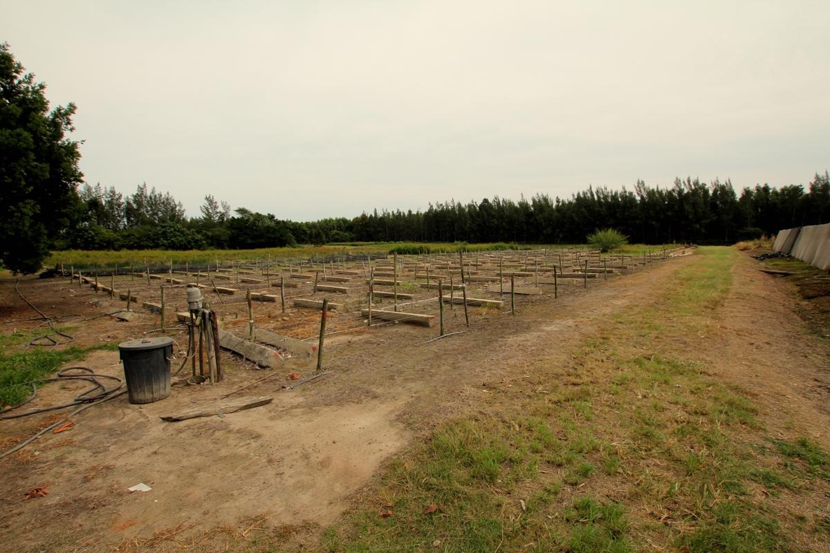 Vacant Land / Plot in Nseleni For Sale | RE/MAX™ of Southern Africa